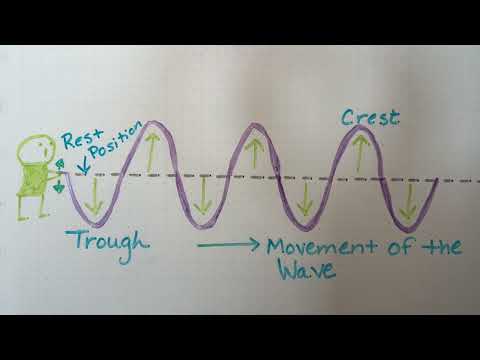 Introduction to Transverse Mechanical Waves