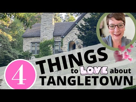 4 Things to Love about the Tangletown Neighborhood Minneapolis 😀