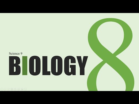 Non-Mendelian Genetics (Co-dominance): Knowledge Catalog Grade 9 Biology #8