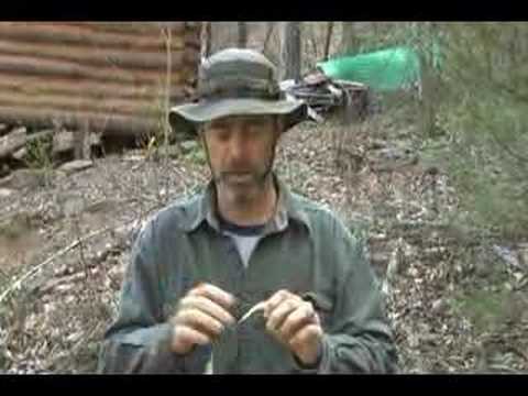 Wild Adventures with Steve: RAMPS!