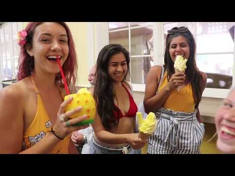 Hawaii Tour Experts - Grand Circle Island Sightseeing