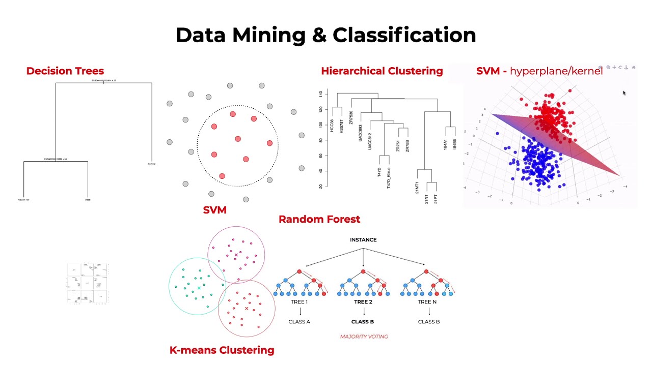 Omics Logic: Learn Bioinformatics
