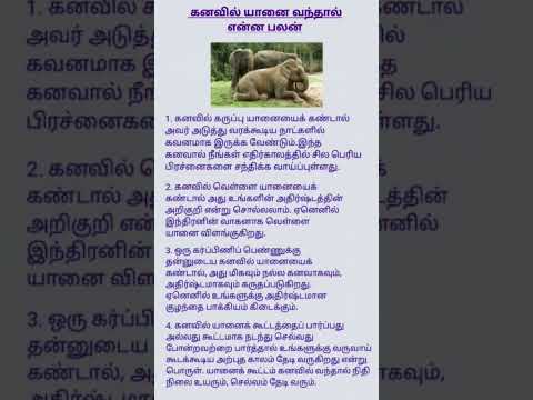 யானை கனவில் வந்தால் என்ன பலன் #shorts #viralvideo #astrology