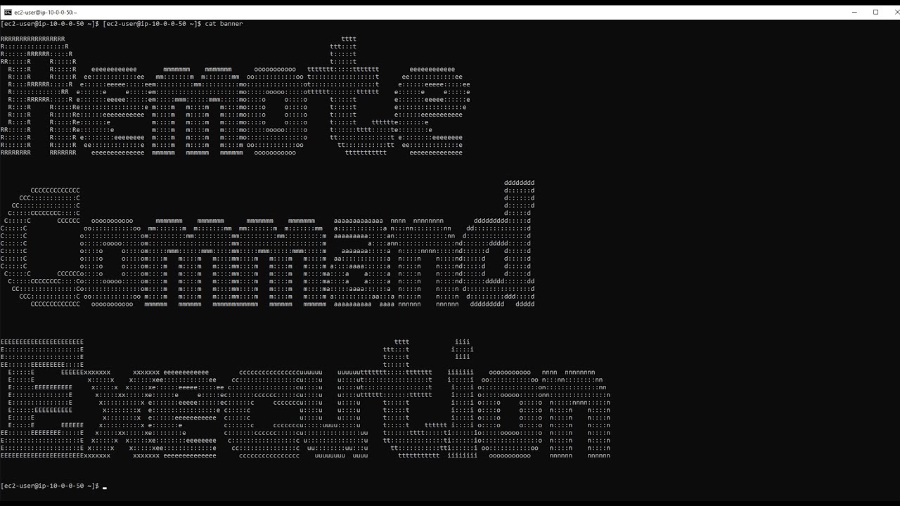 [004] Remote Command Execution