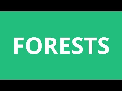 How To Pronounce Forests - Pronunciation Academy