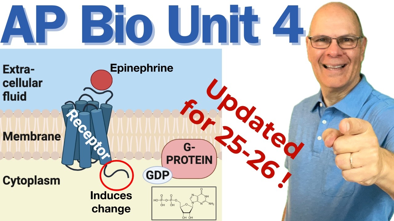 Mastering AP Biology Unit 4: Cell Communication, Feedback Mechanisms ...