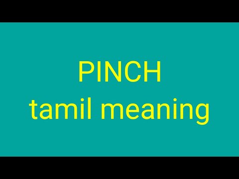 PINCH tamil meaning /சசிகுமார்