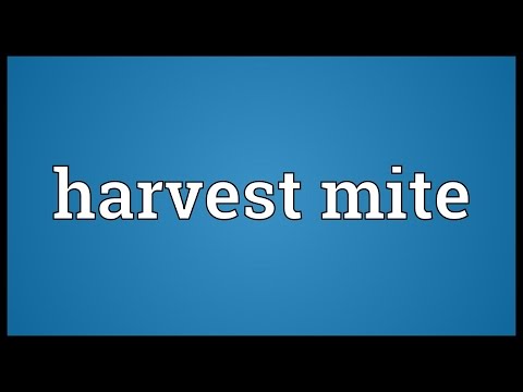 Harvest mite Meaning
