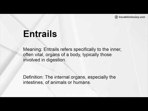 Entrails Meaning