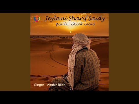 Jeylani Sharif Saidy