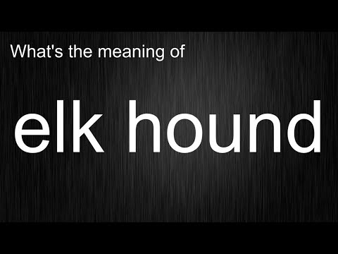 What's the meaning of "elk hound", How to pronounce elk hound?