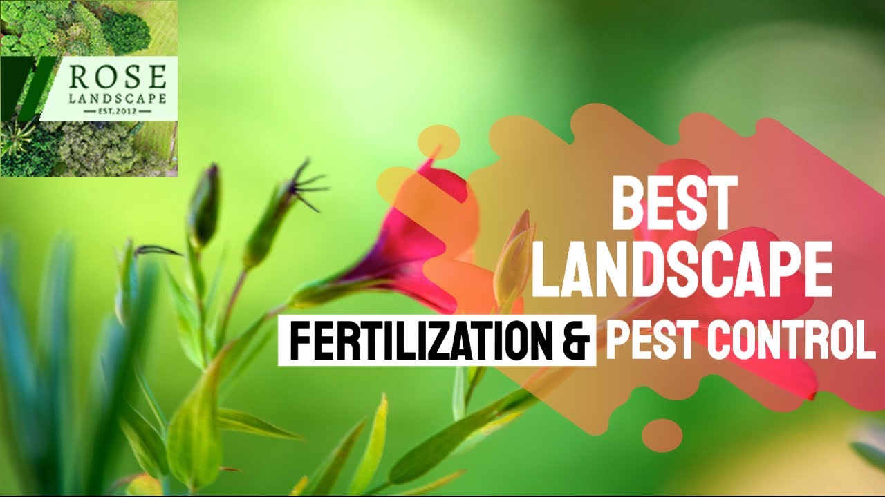 Best Landscape Fertilization and Pest Control in Bluffton, SC