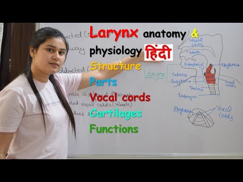 Larynx anatomy & physiology in hindi | parts | structure | vocal cord | cartilages | functions