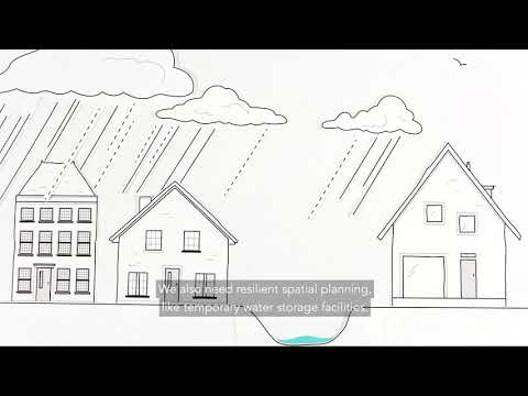 What is MLS? (English)