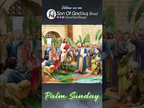 మట్టల ఆదివారం అంటే ఏంటి? | Palm Sunday | Video | Telugu