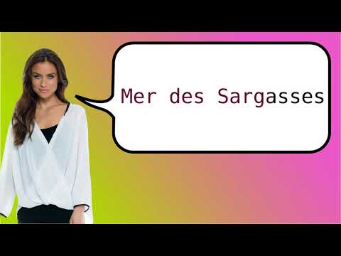 How to say 'Sargasso Sea' in French?