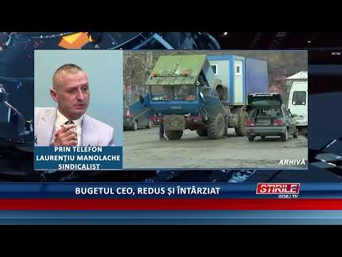 Bugetul CEO, redus și întârziat