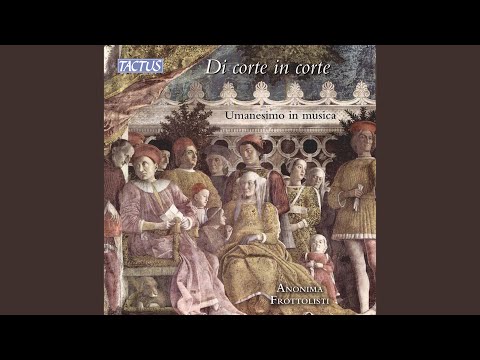 Rostiboli gioioso