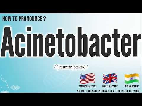 Acinetobacter Pronunciation | How to Pronounce (say) Acinetobacter CORRECTLY | Medical dictionary