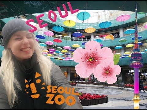 Last week in Seoul/ Going to the Zoo / Cherry Blossem Festival / Olympic Park / Namsan
