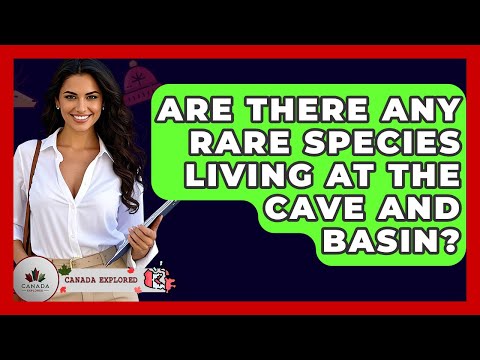 Are There Any Rare Species Living At The Cave And Basin? - Canada Explored