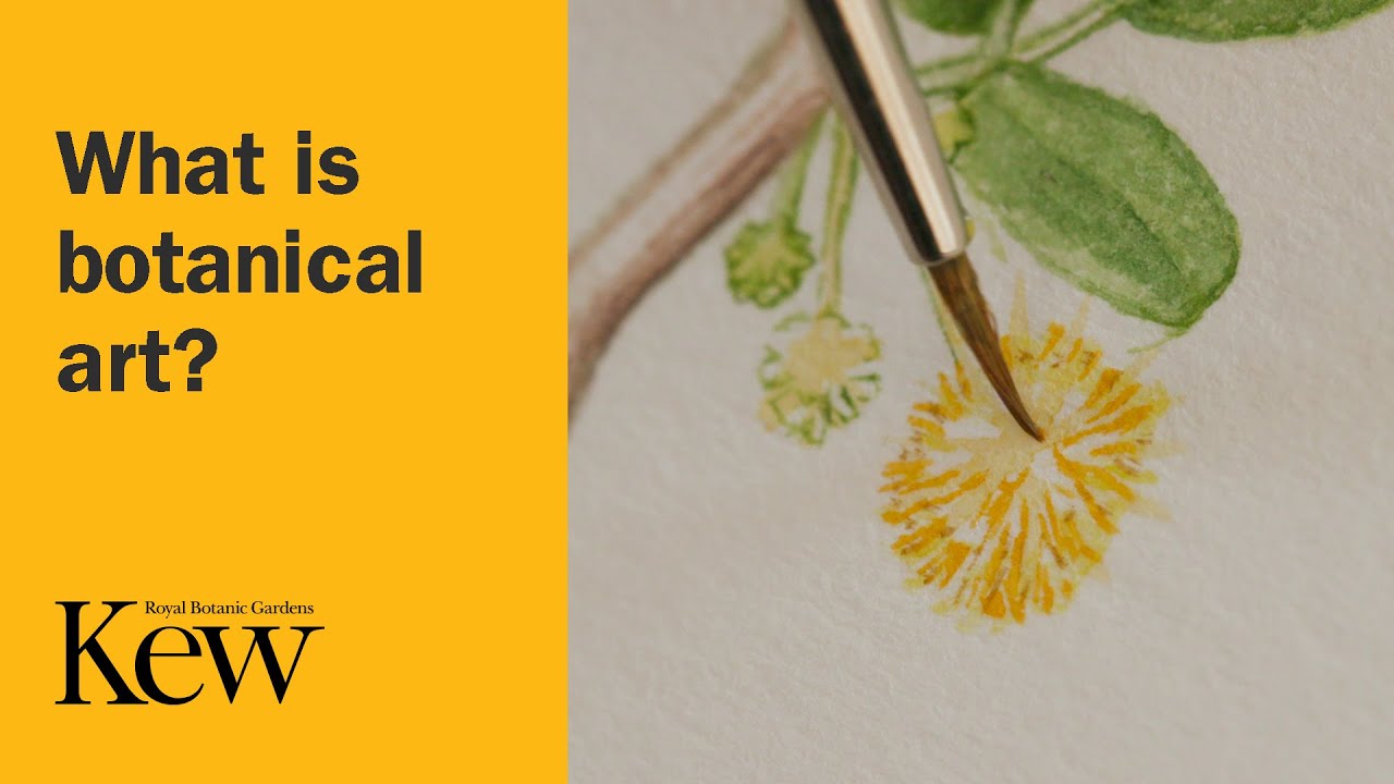 What is botanical art?