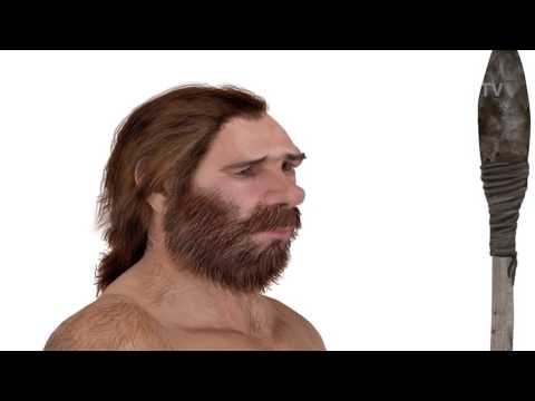 The Origins of Language