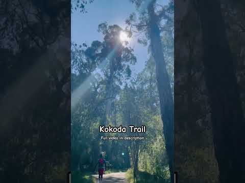 1000 Steps Walking Track - Kokoda Memorial Trail |1000-steps-dandenong-range #dandenongranges