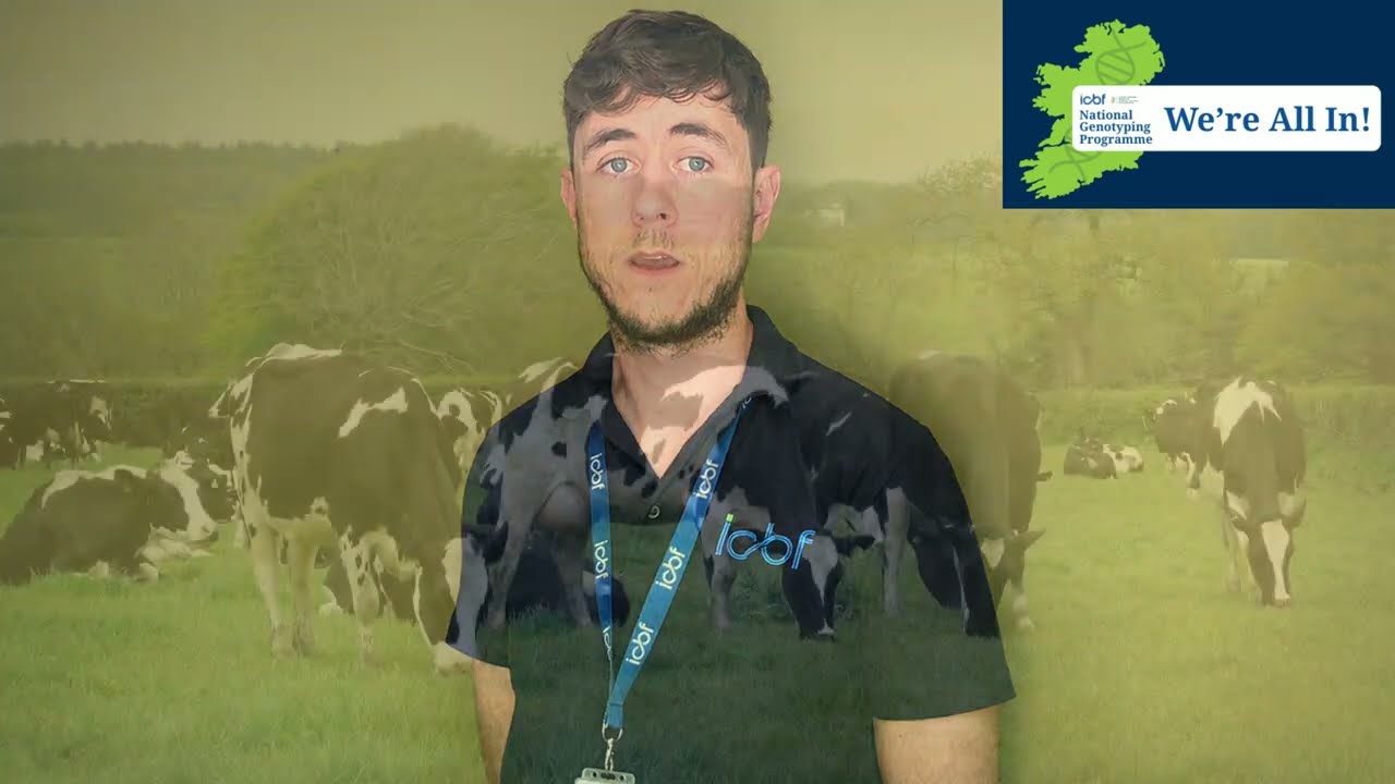 Signing up to NGP in 2025