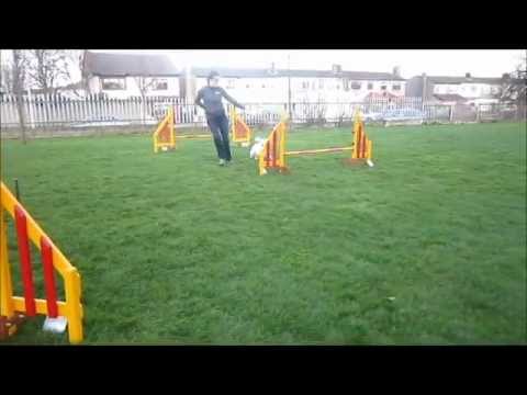 Jumping Jiminy Cricket! | Fluffy Tufts