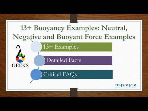 13+ Buoyancy Examples: Neutral, Negative and Buoyant Force Examples