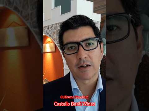 Mr Guillaume Blanchard of Castello Banfi Winery comparing Piemonte Wines with Wines of Tuscany