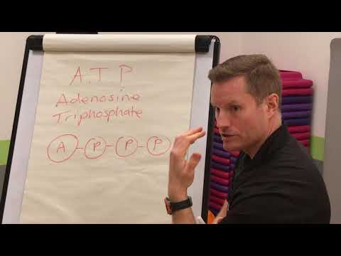 What is ATP? | Storm Fitness Academy