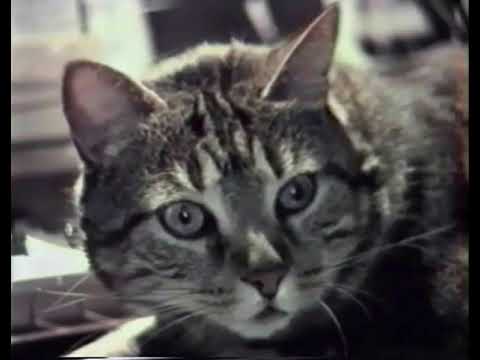 Chris Marker: Chat Ecoutant La Musique (Cat Listening to Music) (1988)