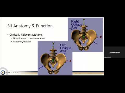 Sacroiliac Joint Pain – A Lecture from Dr. Vernese