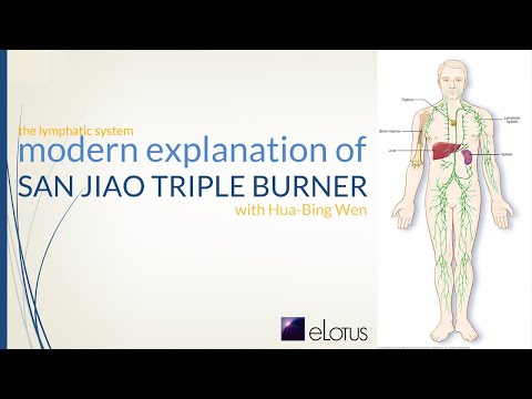 The Lymphatic System and San Jiao with Hua-Bing Wen