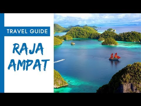 RAJA AMPAT : Panduan Wisata Travel Guide (Budget, Transport, Things To Do)