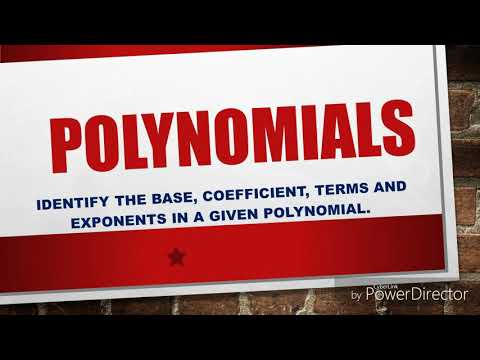 Polynomials (identify the term, coefficients, constant etc.)