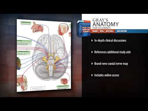 Gray's Anatomy for Students, 3rd Edition