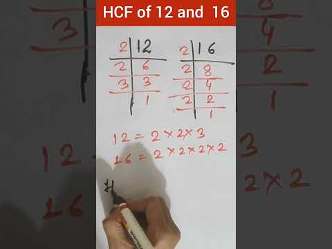 HCF of 12 and 16 #shortvideo