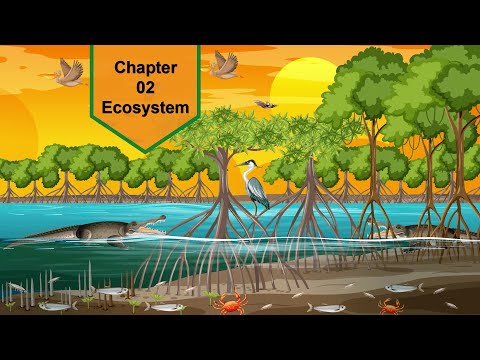 Ecosystem | Grade 4 | Unit-2 | General Science | SNC | PEN Academy