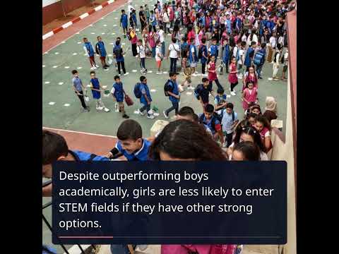 Exploring Gender Preferences in STEM Fields