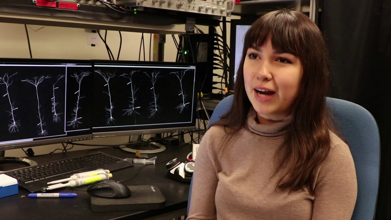 BCS Research Bytes: Marissa Hansen, Harnett Lab