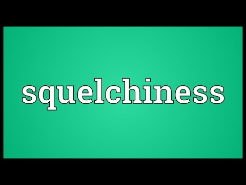 Squelchiness Meaning