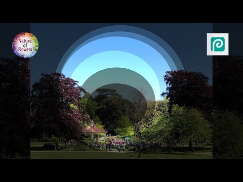 How to make a Timescape Exposure, inspired by Fong Qi Wei in Photopea or Photoshop