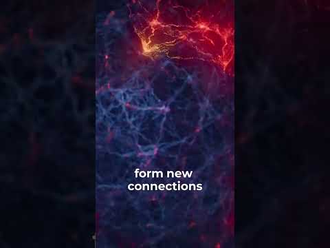 Neural Stem Cells - Your Brain's Secret Repair Team