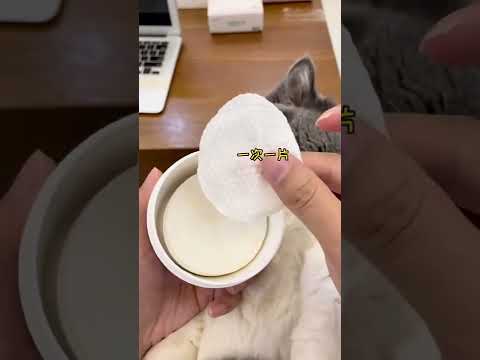 Funniest Cats