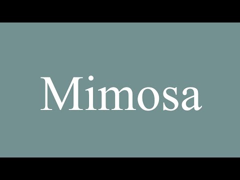 How to Pronounce ''Mimosa'' Correctly in French