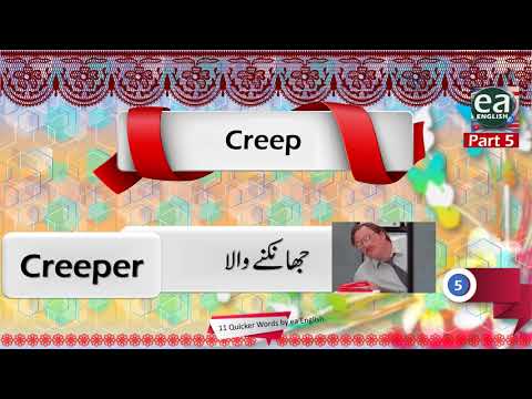 Creep out Creeping Creeper Freaky Means in Urdu Definition Pronunciation of - Picture Dictionary