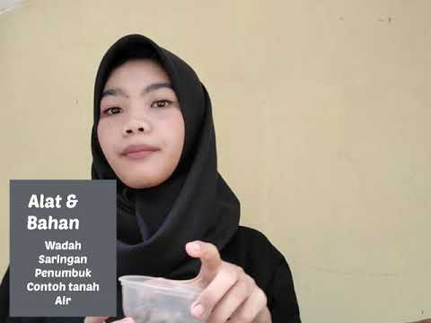 Menentukan Tekstur Tanah 》Metode Perabaan《